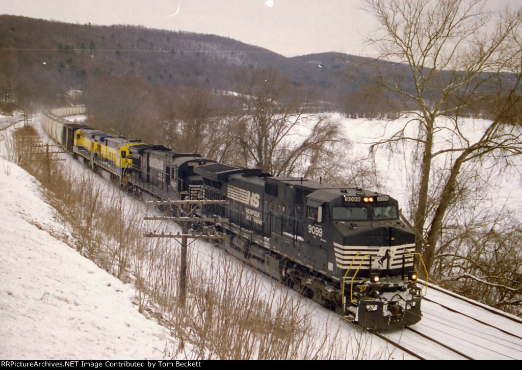 41T on a snowy river